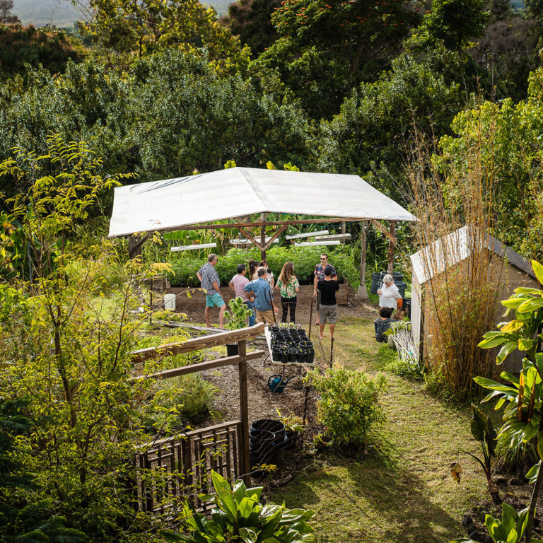 Experiences with Honaunau Farm